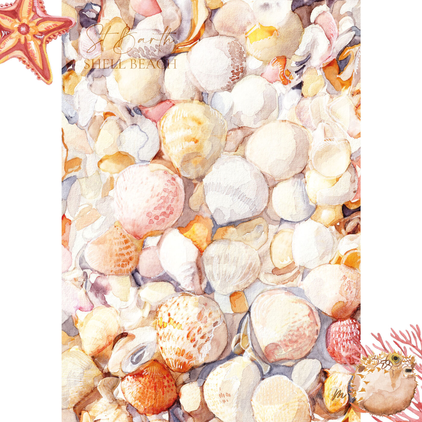 Aquarelle de Shell Beach - MOON ST BARTH - Illustration